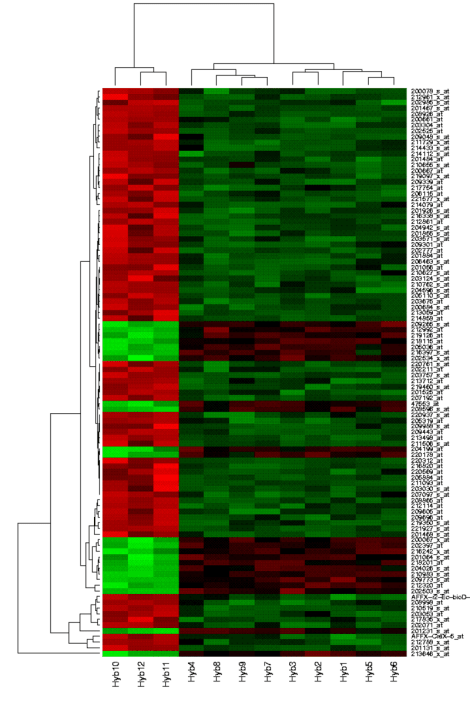 آموزش آنالیز داده های Bulk Rna Seq Omicsdade